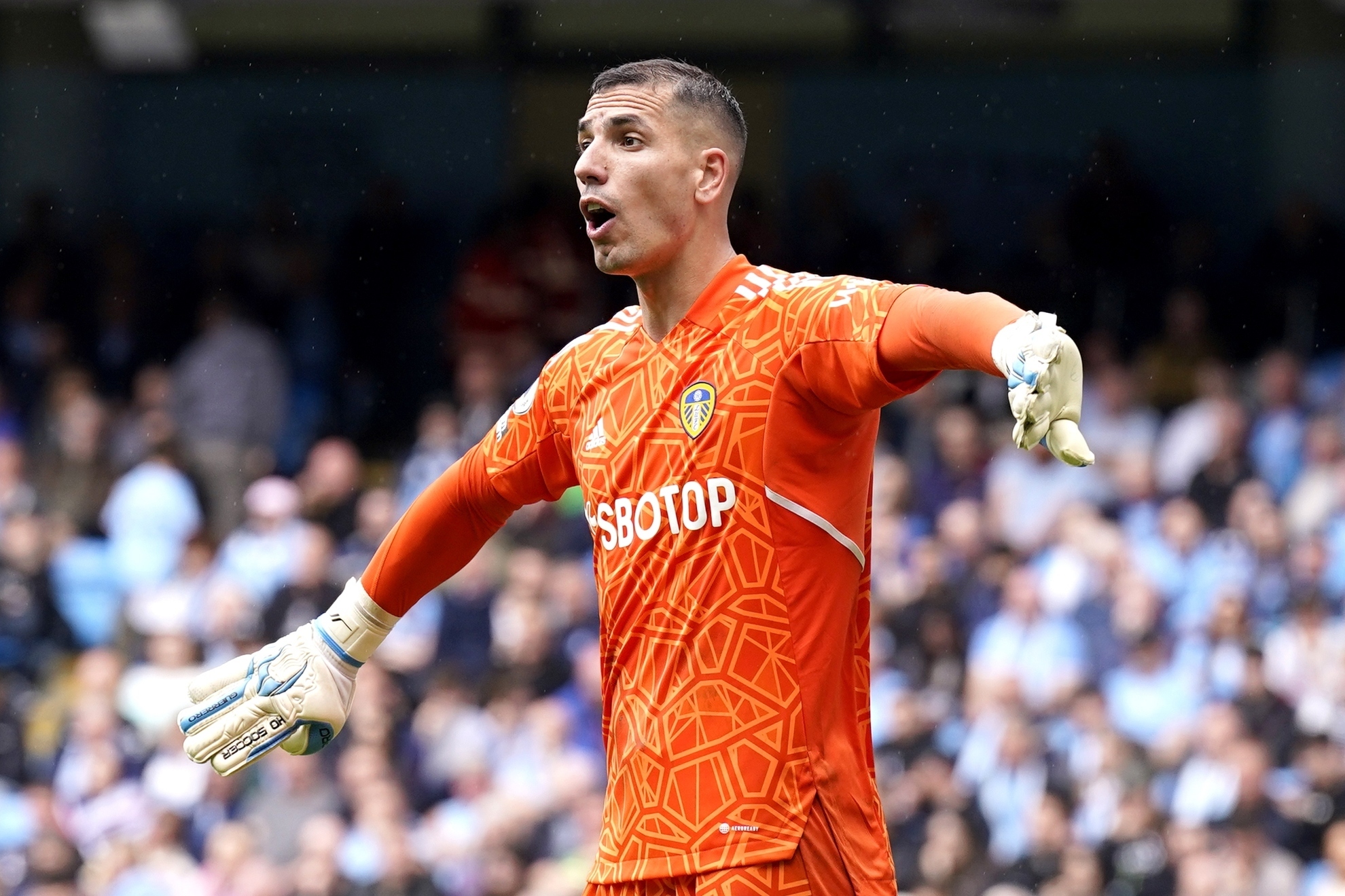Leeds United - Últimas noticias de Leeds United